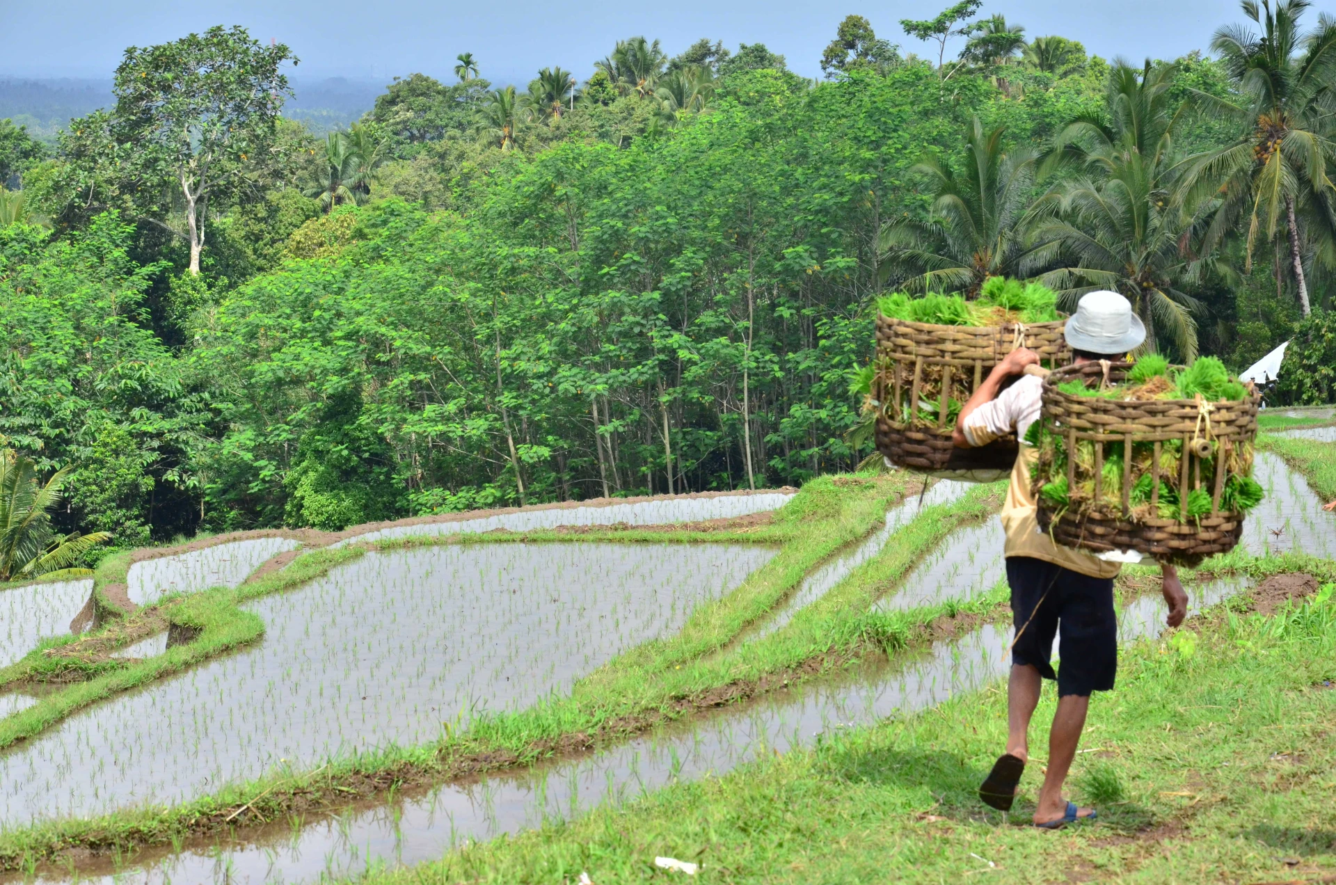 A la découverte de Bali | Decathlon Travel