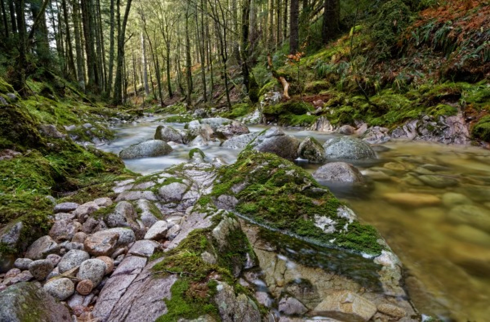 Le mini-tour de la Chartreuse en randonnée autonome | Decathlon Travel