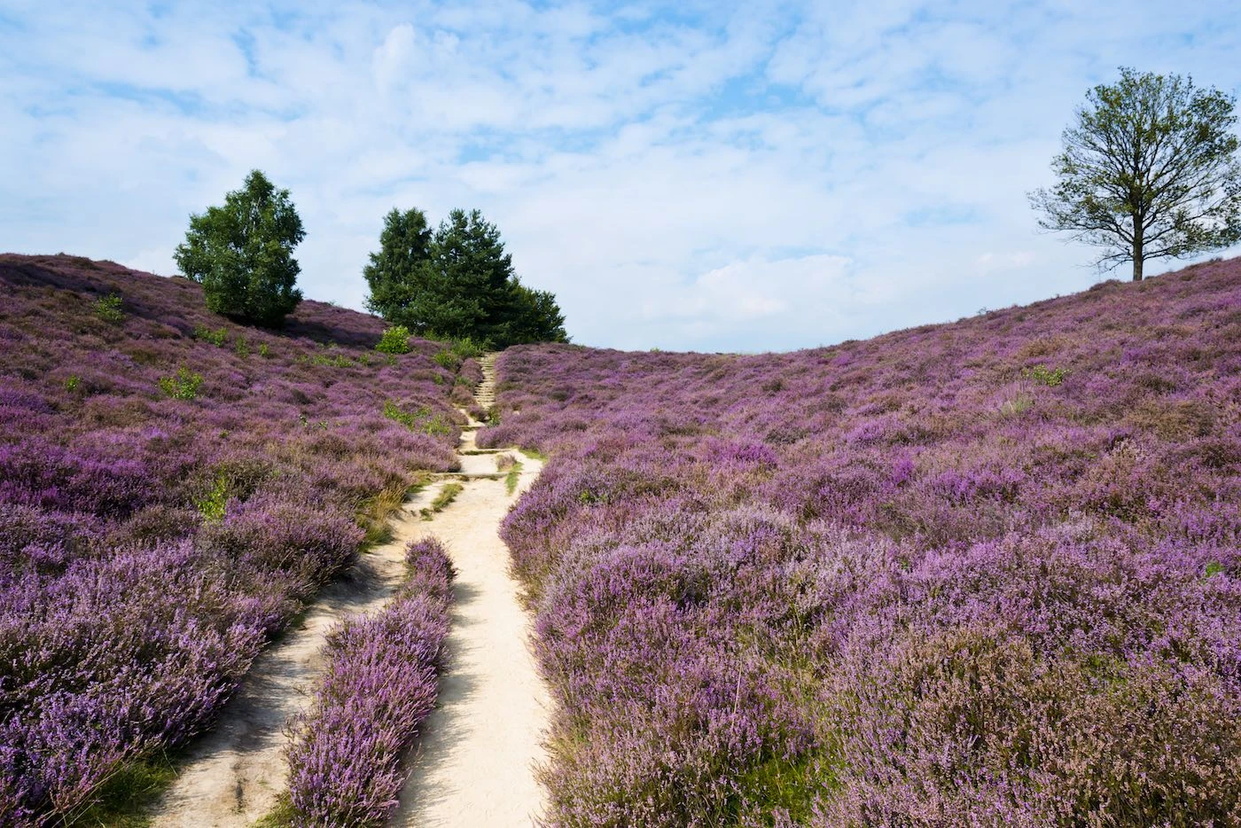 Voyages sportifs à Caroux - Page 10 | Decathlon Travel