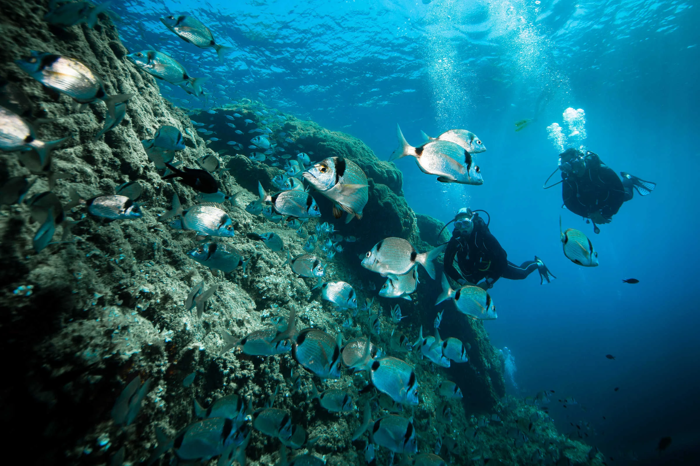 Séjours sportifs dans le Var - Page 9 | Decathlon Travel